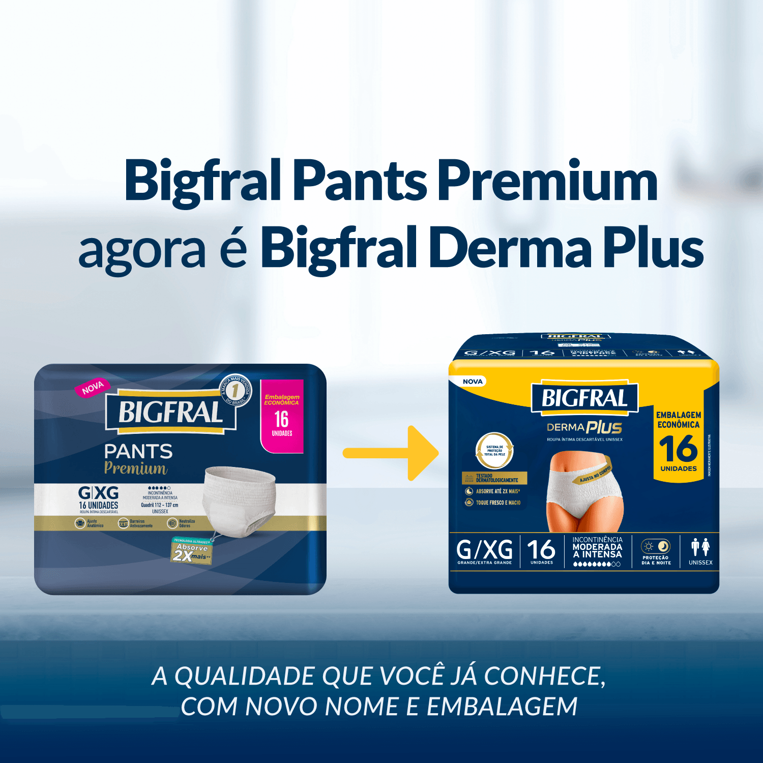 BIGFRAL | A marca n° 1 do Brasil