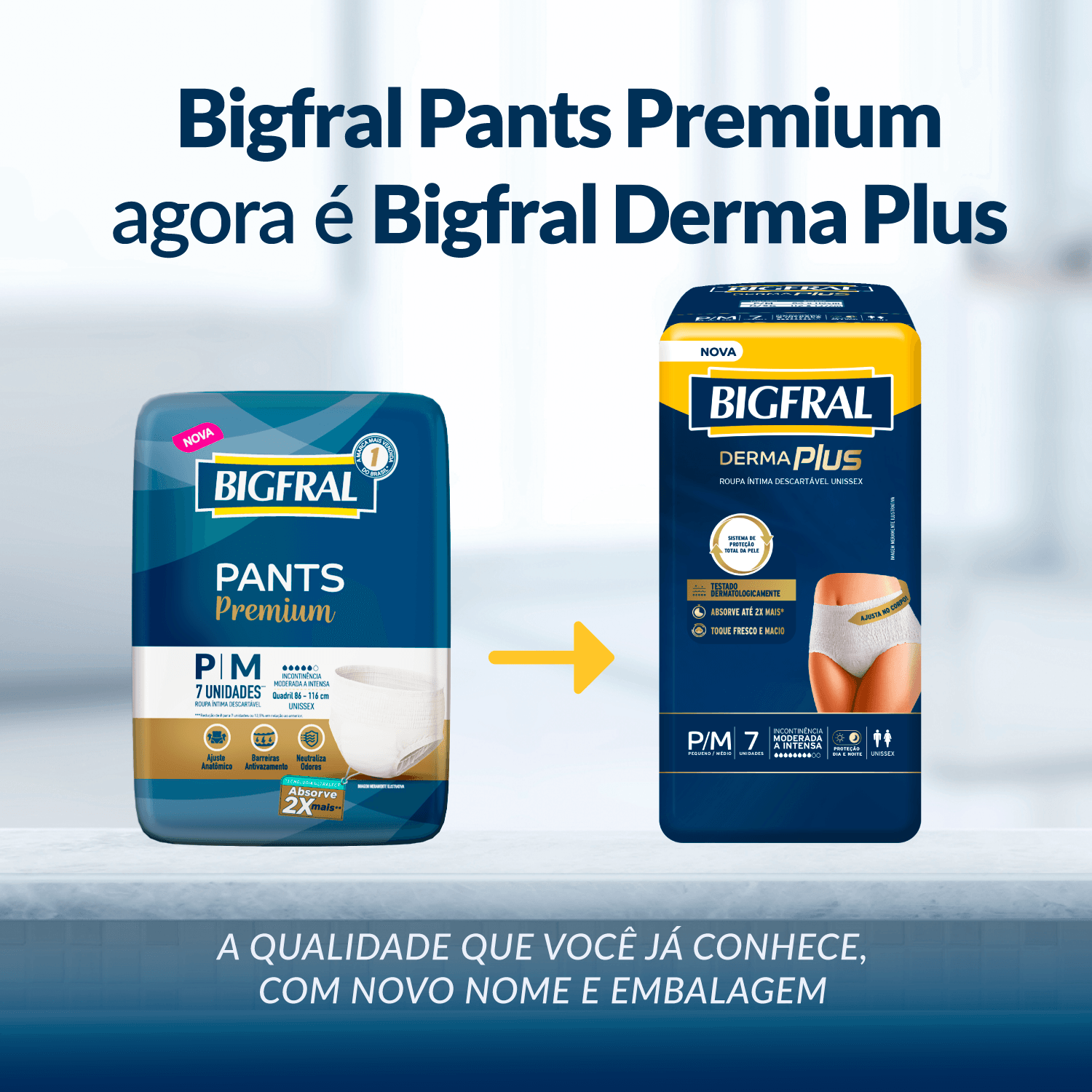 BIGFRAL | A marca n° 1 do Brasil